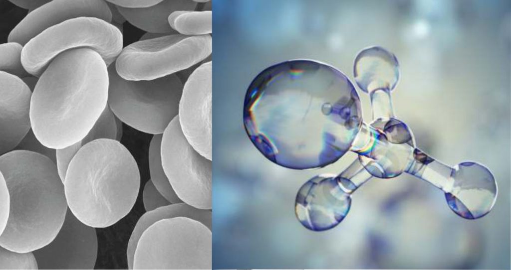 Extractables and Leachables in Pharmaceutical Manufacturing: Strategies ...